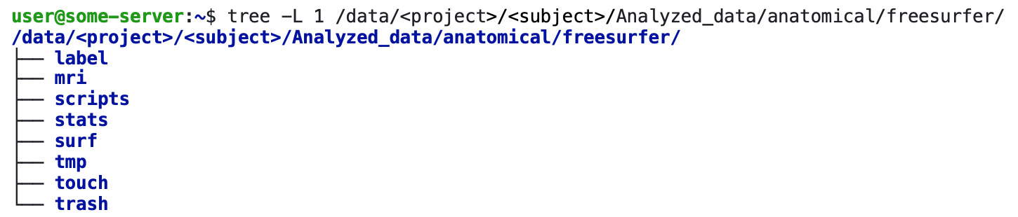 How to use FreeSurfer – Part 1 – Mind Your Data